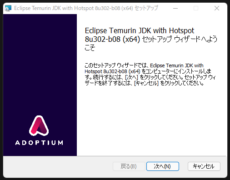 WindowsにAdoptOpenJDKのJava 64bit版を入れる方法 - SERVER-G